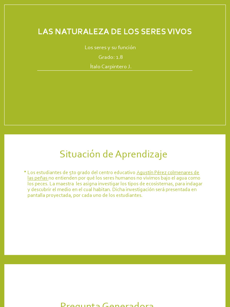 Las Naturaleza de Los Seres Vivos Pawer Point | PDF | Gramática ...