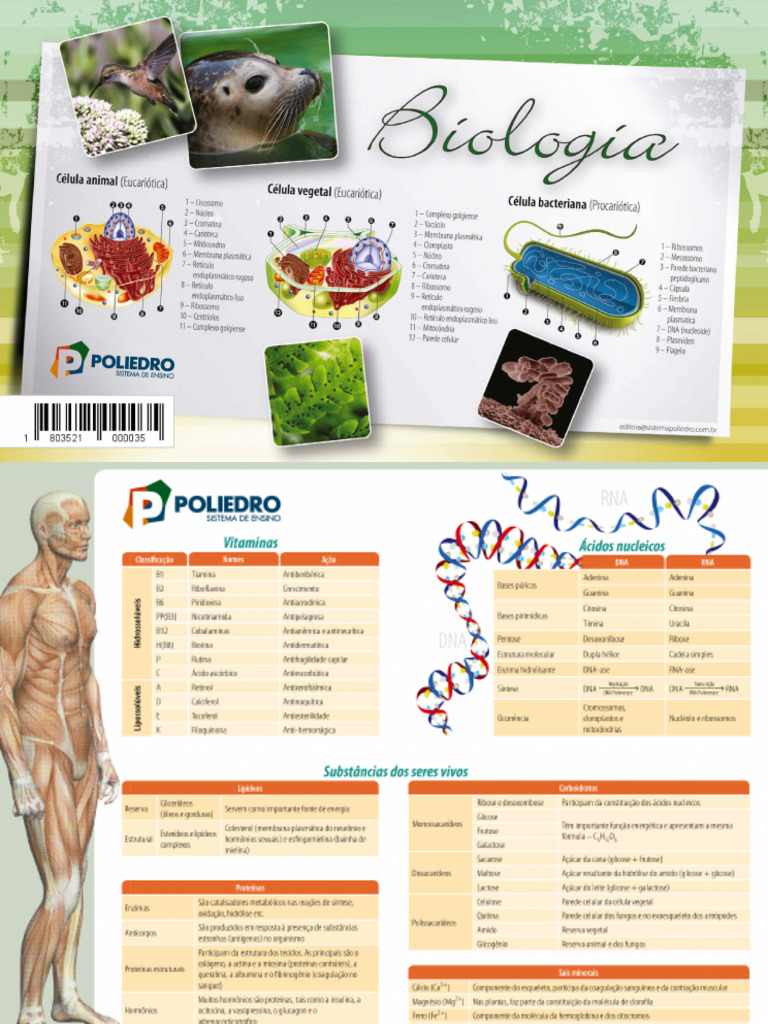 Poliedro - Tabela de Biologia | PDF