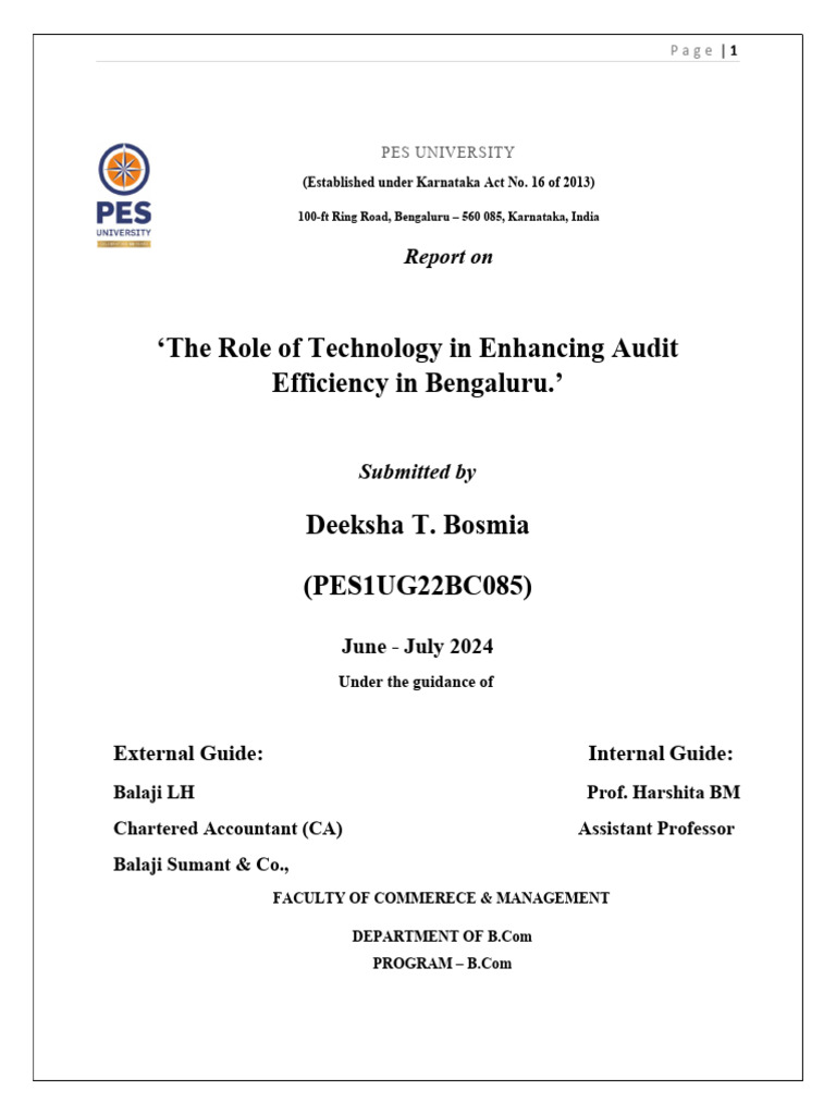 Cip Report 2024 | PDF | Audit | Machine Learning