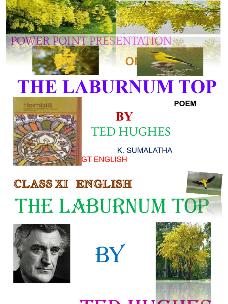 3.2 The Laburnum Top 1 | PDF | Poetry