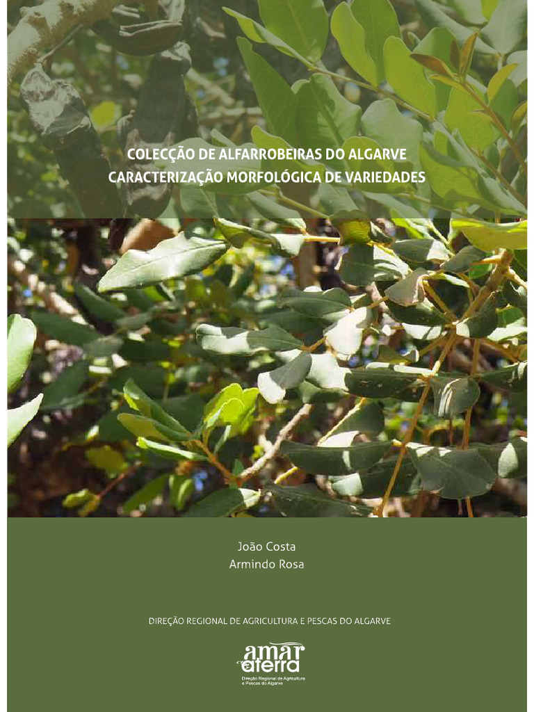 Alfarrobeira No Algarve | PDF