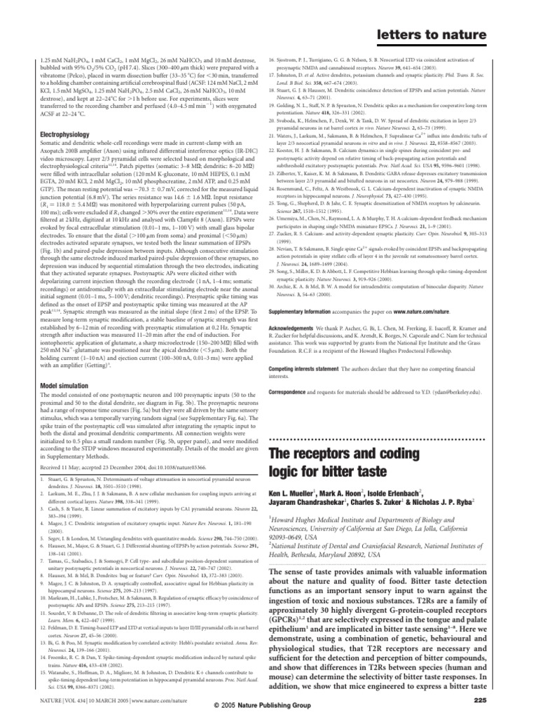 Receptors and Coding Logic For Bitter Taste | PDF | Taste | Excitatory ...