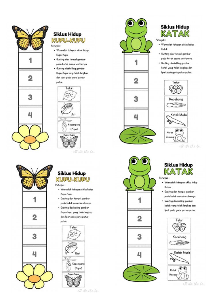 Daur Hidup Katak Dan Kupu2 | PDF