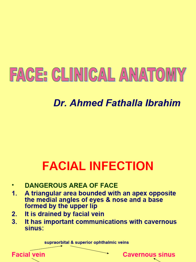 03-Clinical Anatomy of Face | PDF | Human Nose | Lip