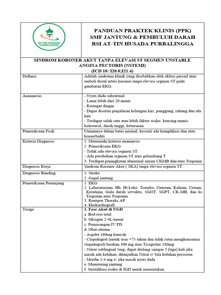 FILE PPK NSTEMI | PDF