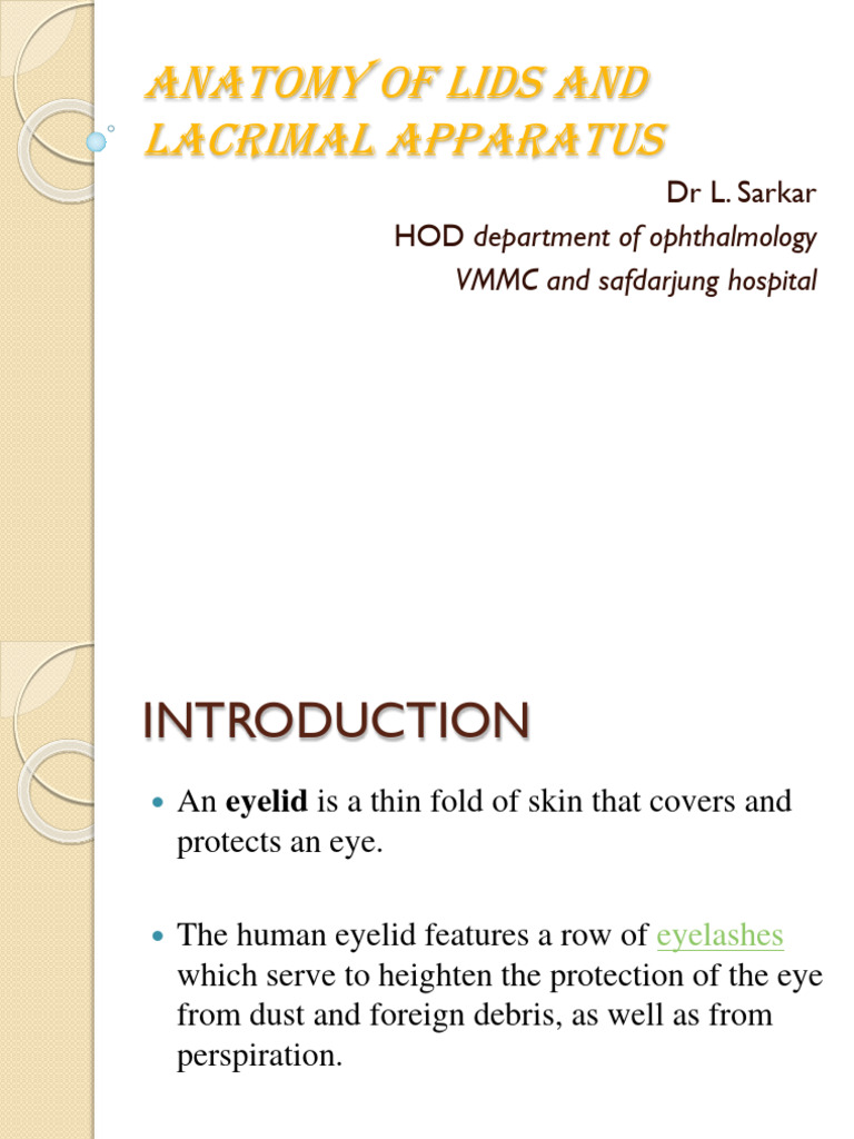 Lid Lacrimal Anat Physio | PDF | Human Head And Neck | Human Anatomy