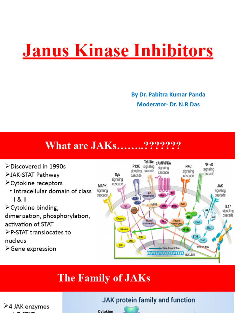 Janus Kinase Inhibitors | PDF | Immunology | Diseases And Disorders