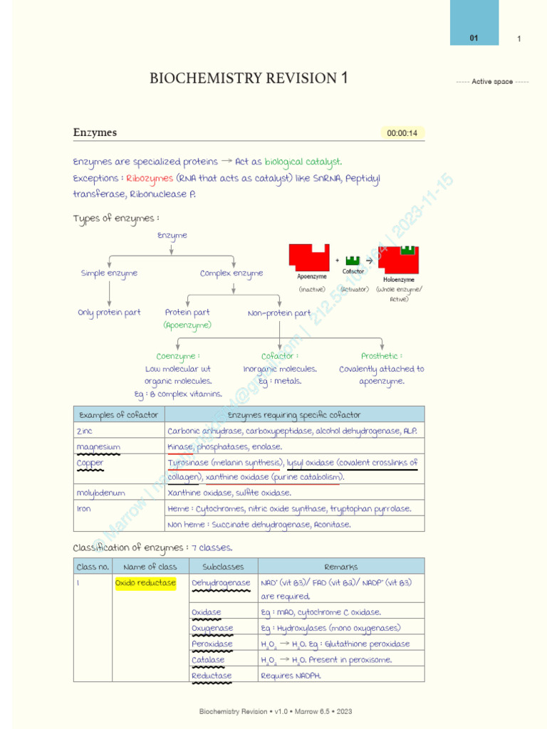 Biochemistry Revision E6.5 | PDF | Glycolysis | Glycogen
