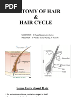 Hairdressing Tools | PDF | Hairdresser | Hairstyle