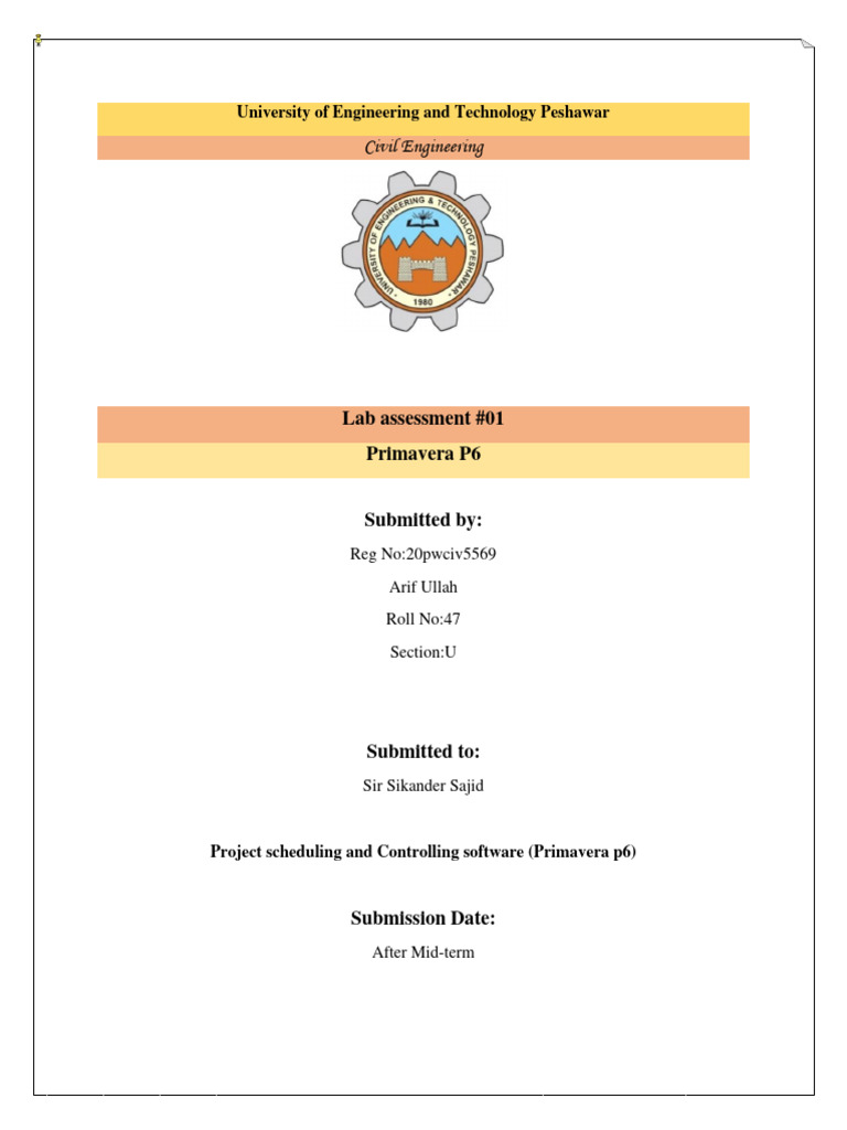 Primavera P6 Basics | PDF | Computing