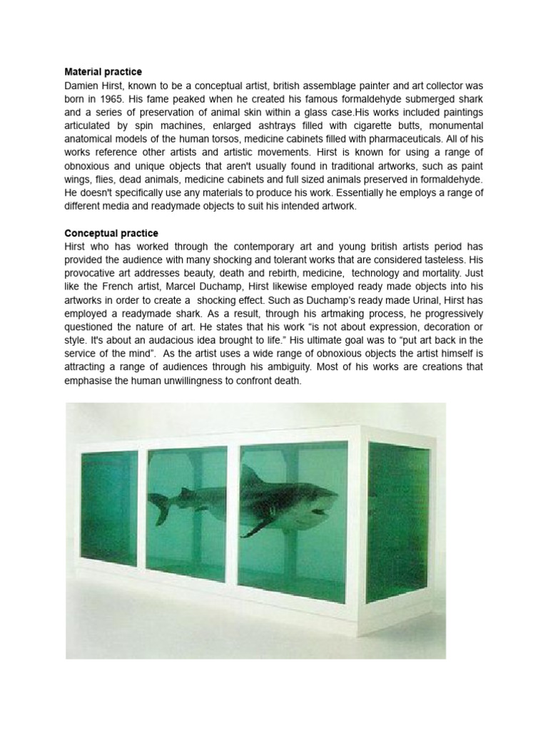 Damien Hirst - Shock Art | PDF | Experience