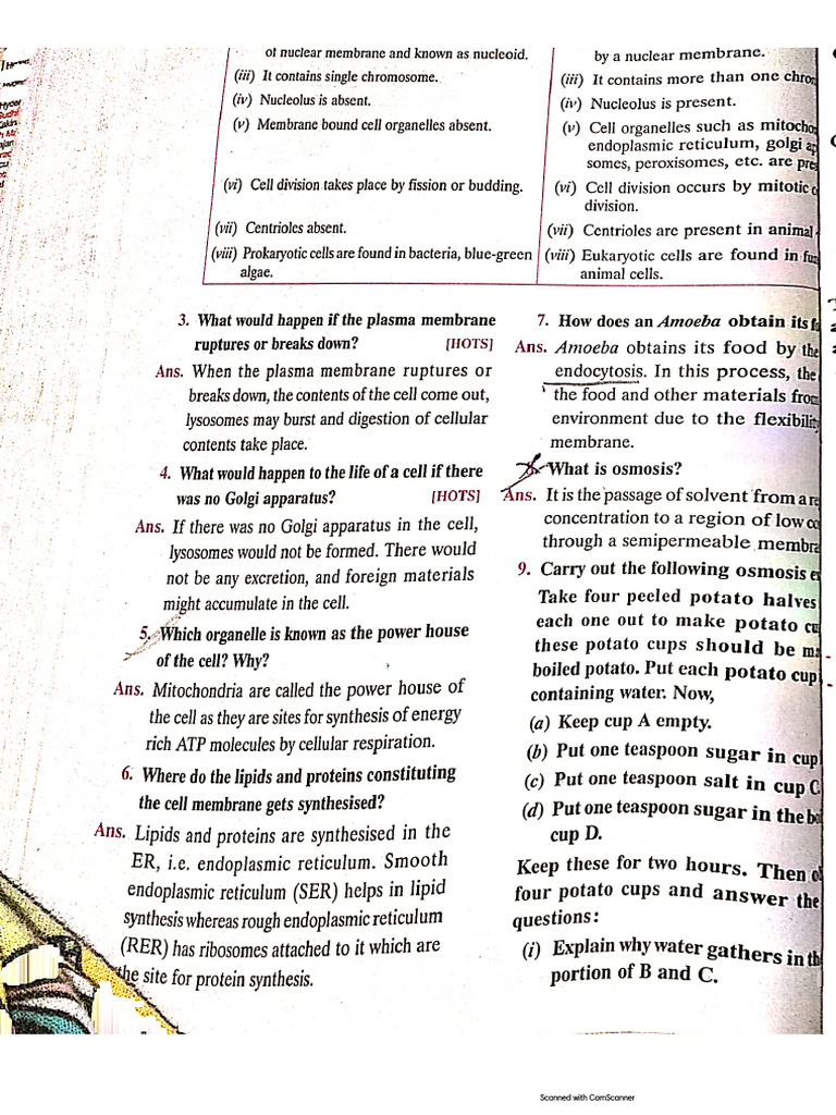 Class 9 Question Bank | PDF