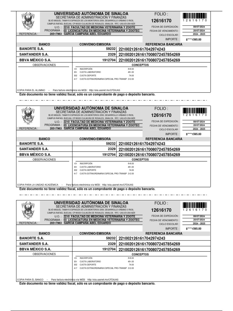 Solic | PDF | Finanzas personales | Tecnología bancaria