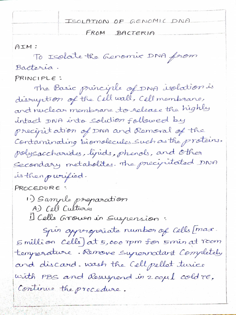 Mol Bio Observation | PDF | Dna | Macromolecules
