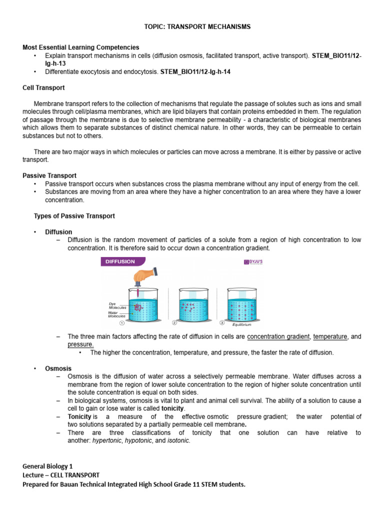 Handout Cell Transport | PDF | Cell Membrane | Osmosis