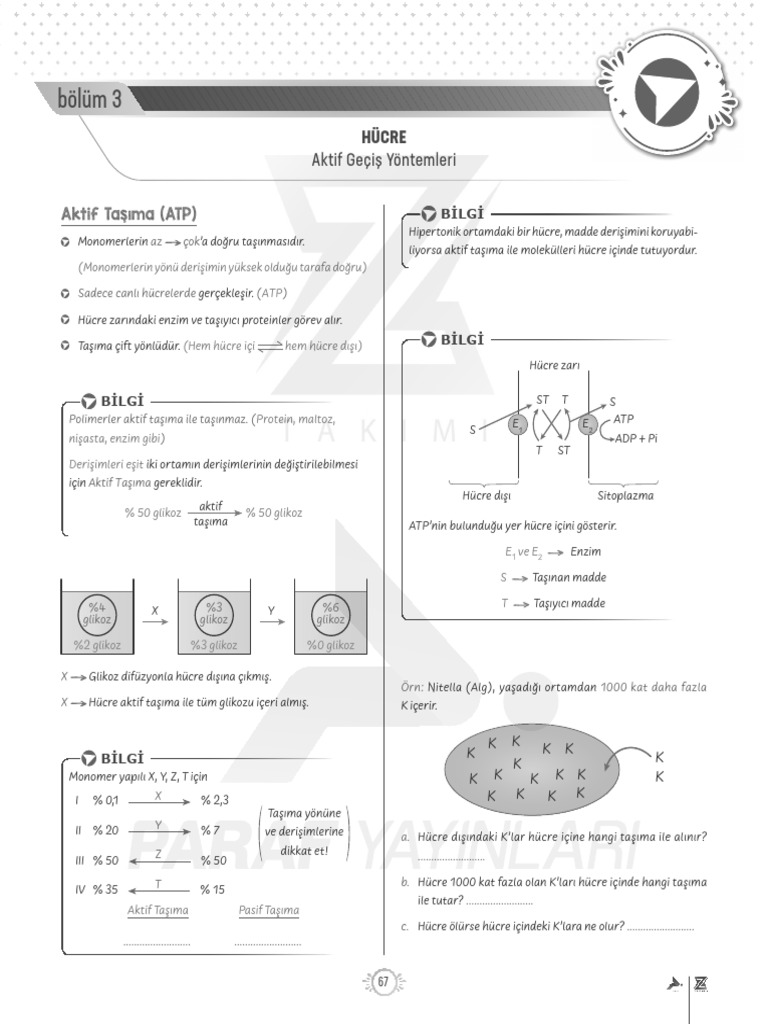Aktif Taşıma Endositoz Ekzositoz Biosem - Paraf | PDF
