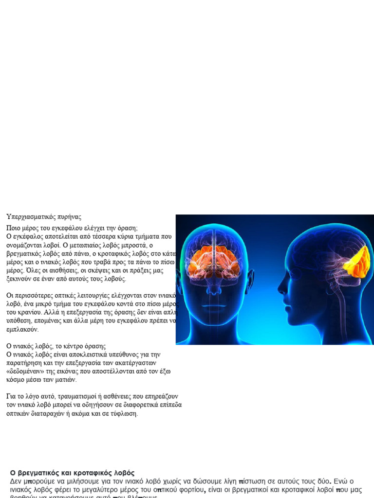 Egkefalos Brain1 | PDF