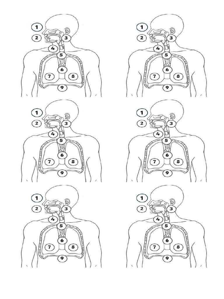Rs Diagram | PDF