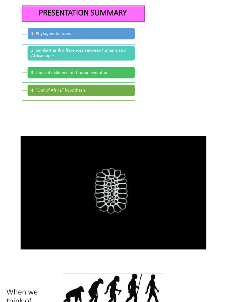 Human Evolution 2 Pdf Homo Human Evolution