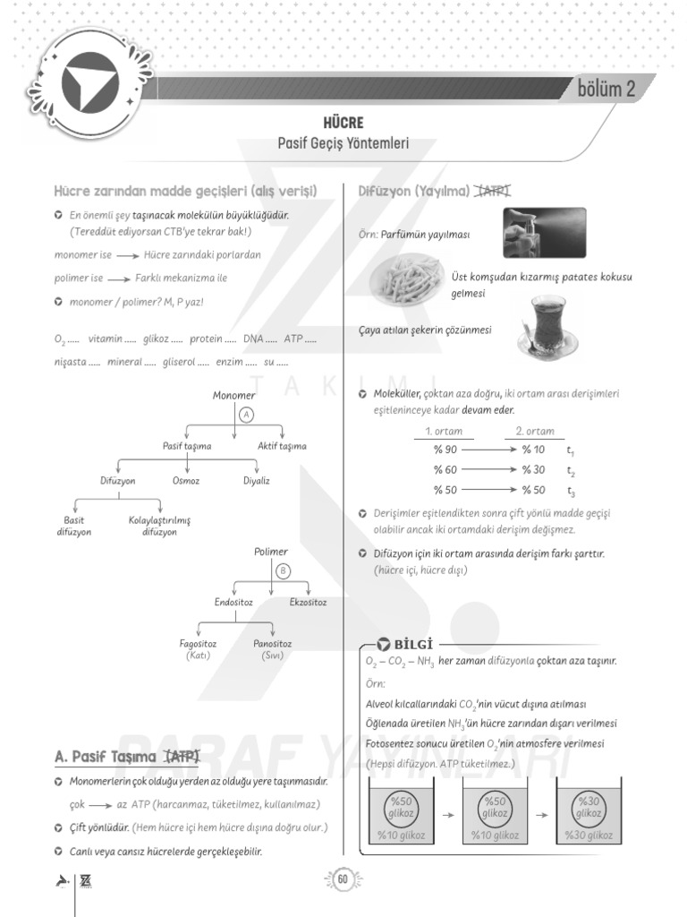 Pasif Taşıma Biosem - Paraf | PDF