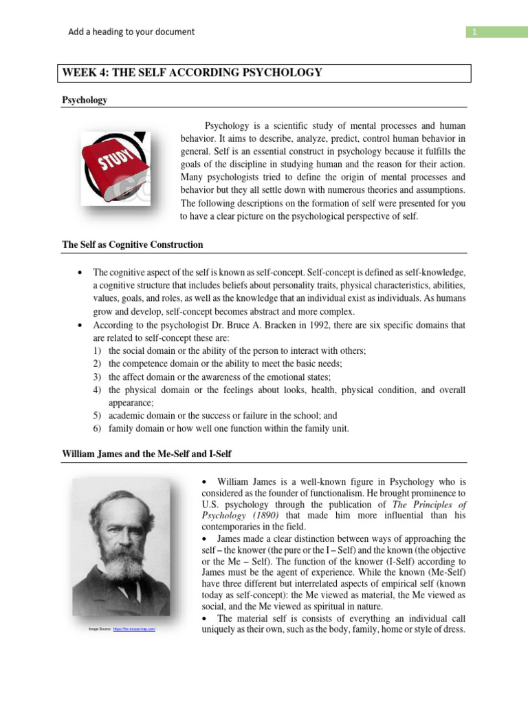 Understanding the Self in Psychology | PDF | Self Concept | Self Efficacy