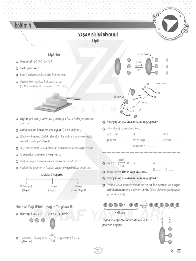 Lipitler Biosem - Paraf | PDF