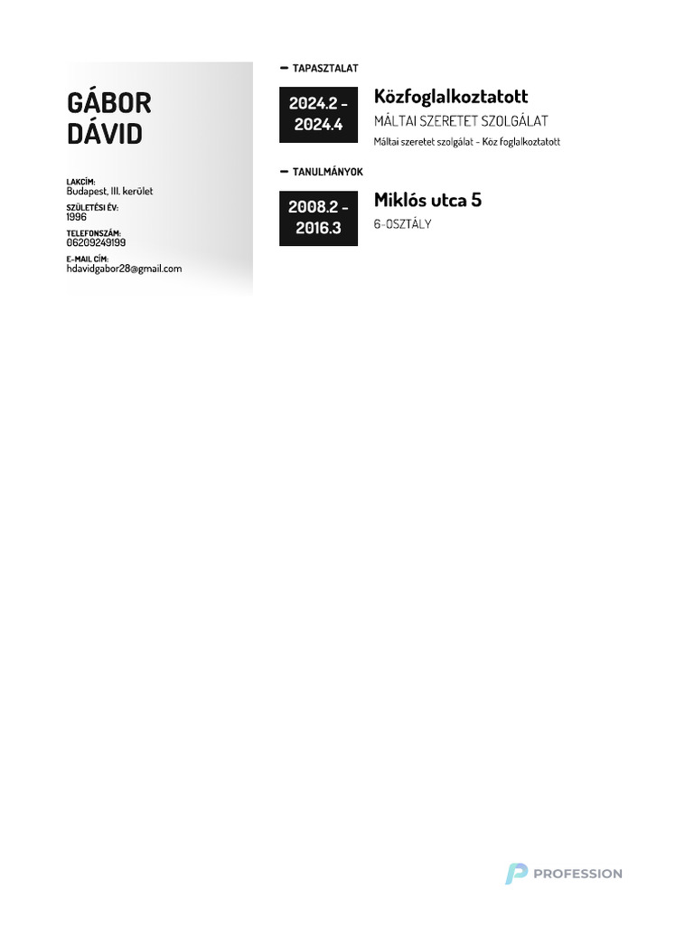 Gabor David CV 20240412100445 | PDF