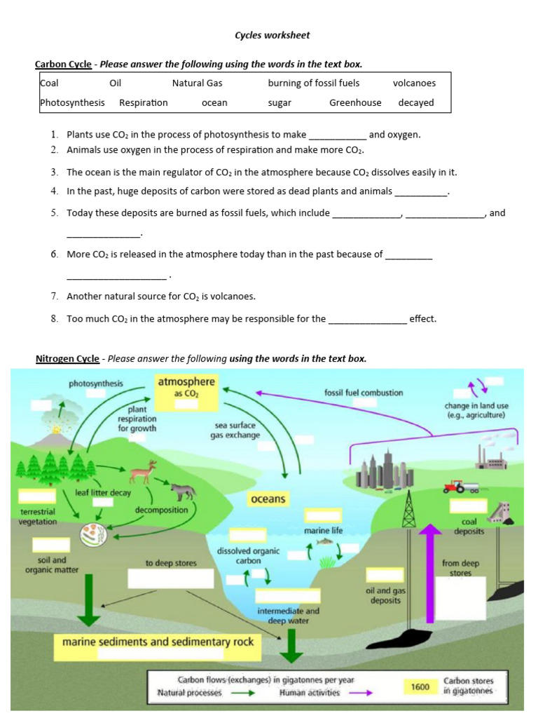 Environmental Science Worksheet | PDF | Water | Carbon Dioxide