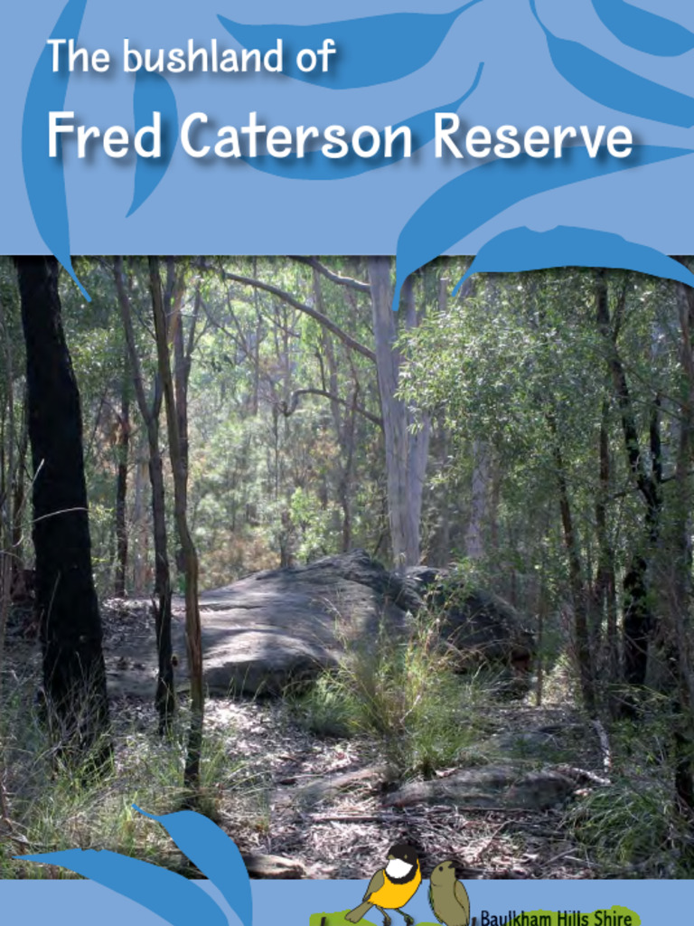 Tracks__Trails_-_Bushland_of_Fred_Caterson_Reserve | PDF | Trees | Sydney