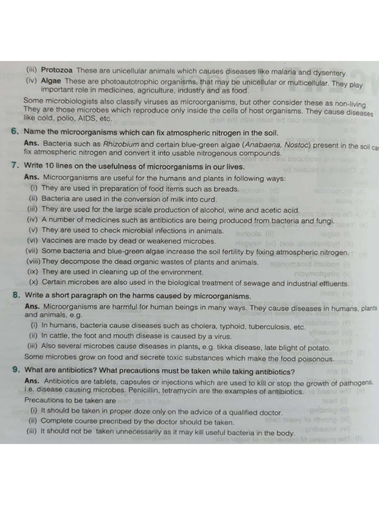 Chapter End Exercise Q-A | PDF