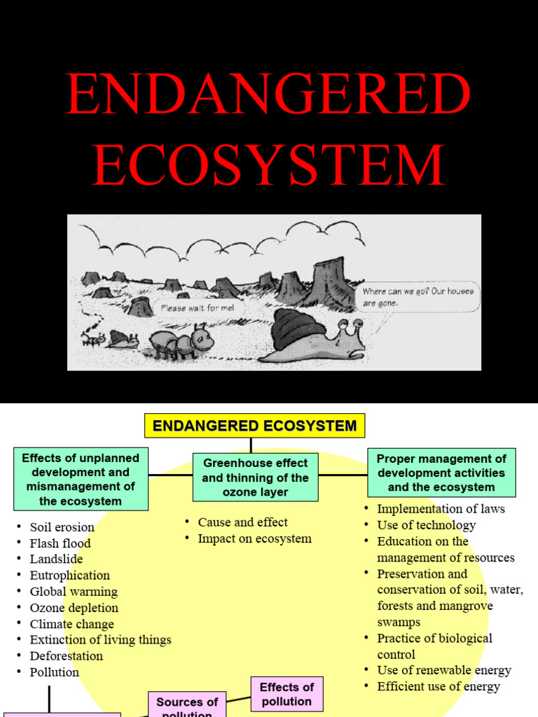 Endangered Ecosystem 2 | PDF | Chlorofluorocarbon | Soil