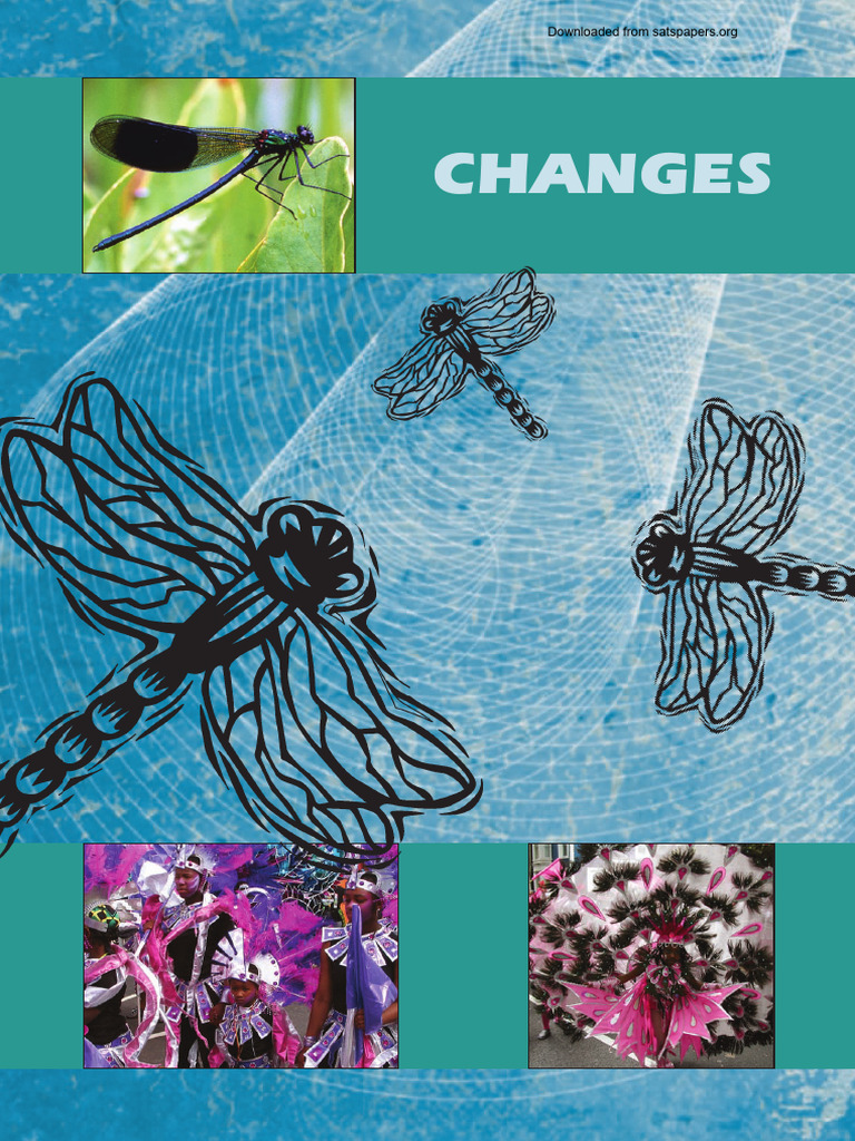 Year 5 2006 Optional SATS English - Reading Book - Changes | PDF | Dragonfly | Carnival