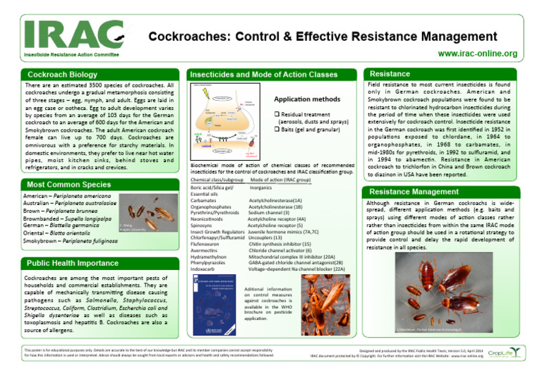 Cockroach Poster v5.0 April2014 | PDF | Insects