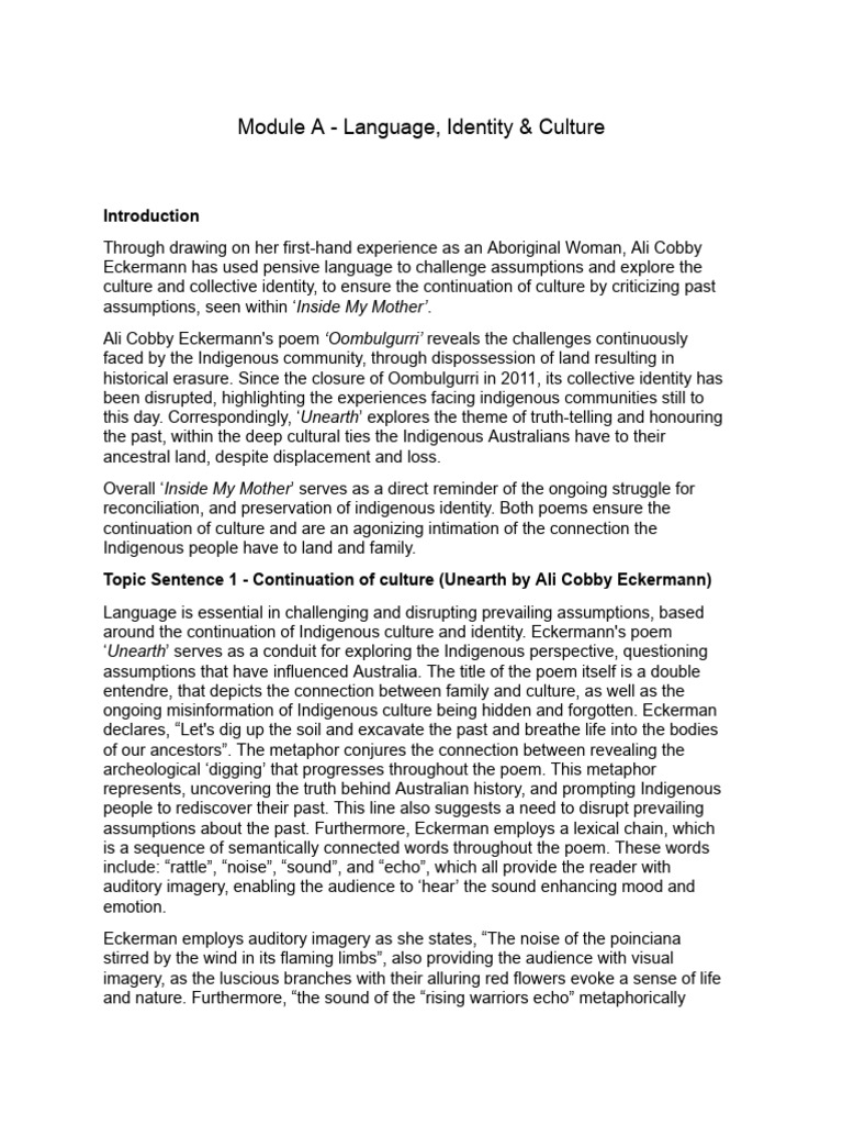 Language, Identity & Culture | PDF | Indigenous Australians | Metaphor