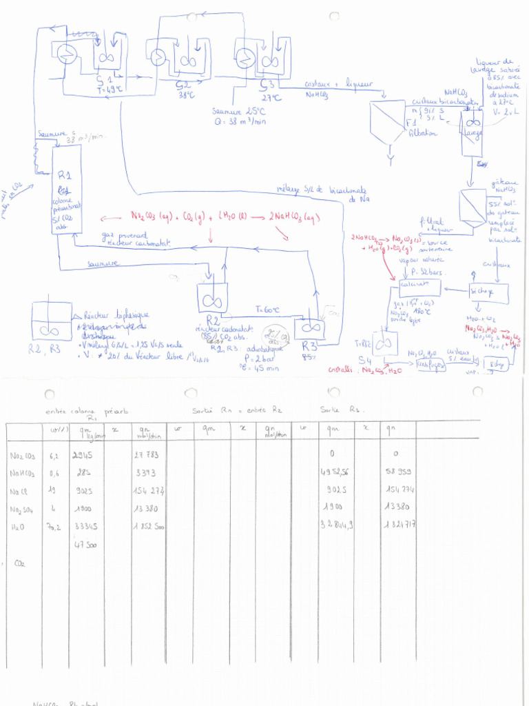Carbonate Sodium-Correction-Schéma | PDF