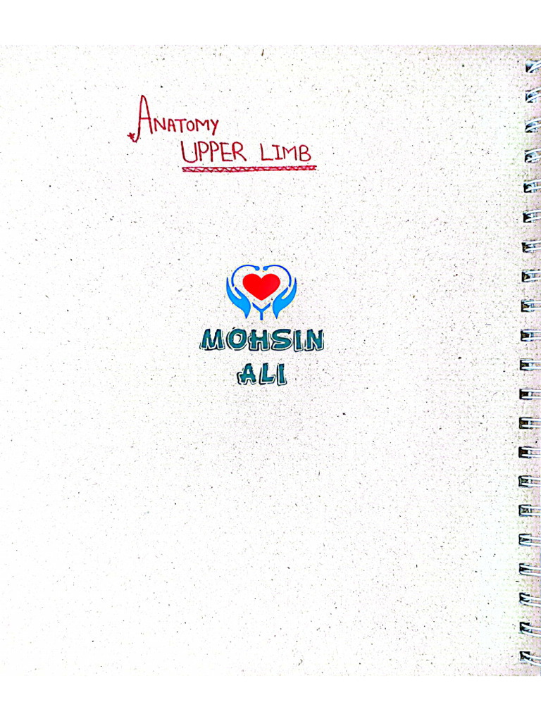 Upper Limb Anatomy DIMS | PDF