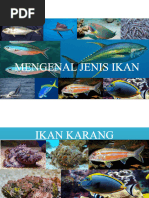Morfologi Dan Anatomi Kepiting | PDF