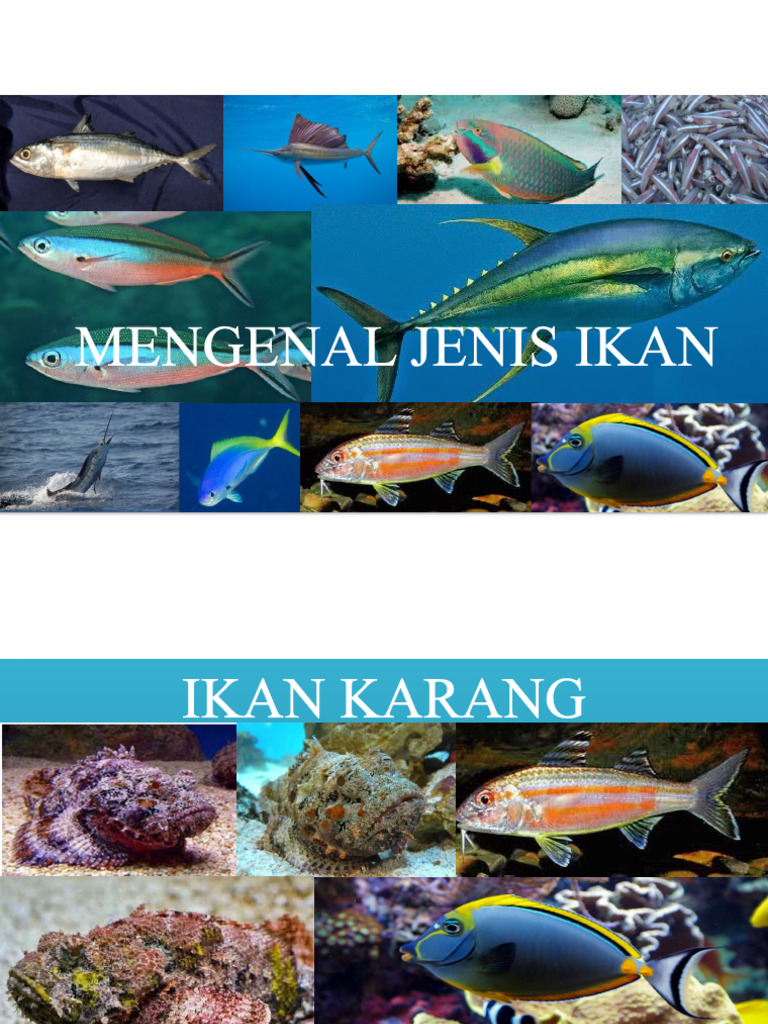 NAMA IKAN] | PDF