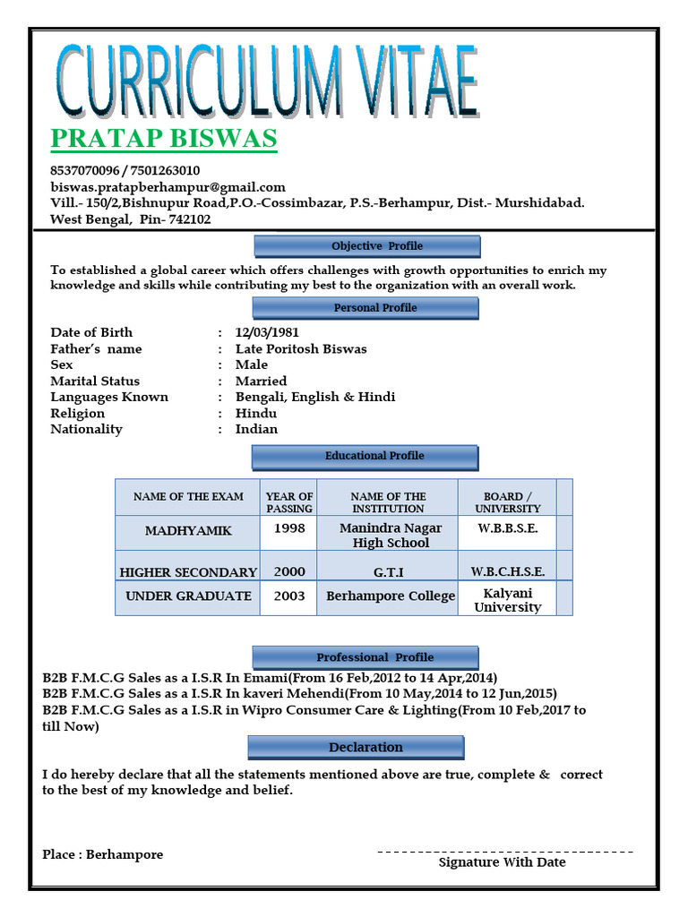 Pratap Biswas Curriculum Vitae | PDF