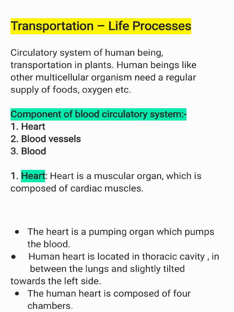 Transportation Life Processes | PDF
