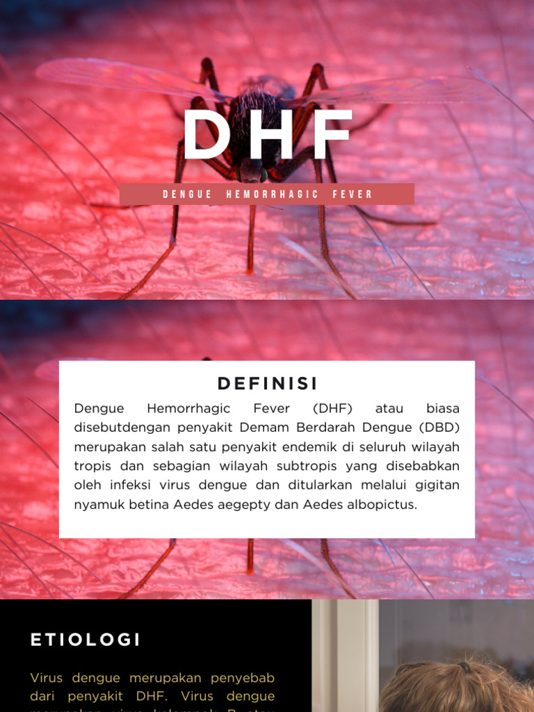 Penyakit DHF | PDF