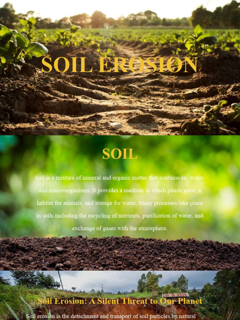 Soil Erosion | PDF | Erosion | Soil