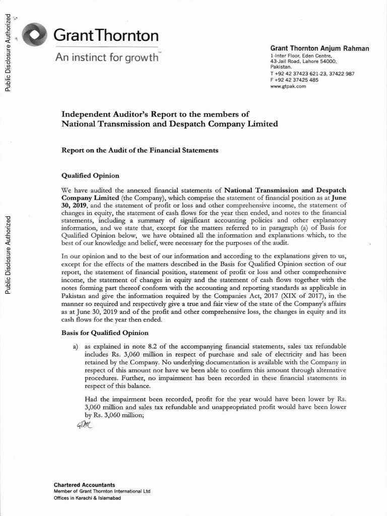 Audit Report | PDF | Audit | Going Concern