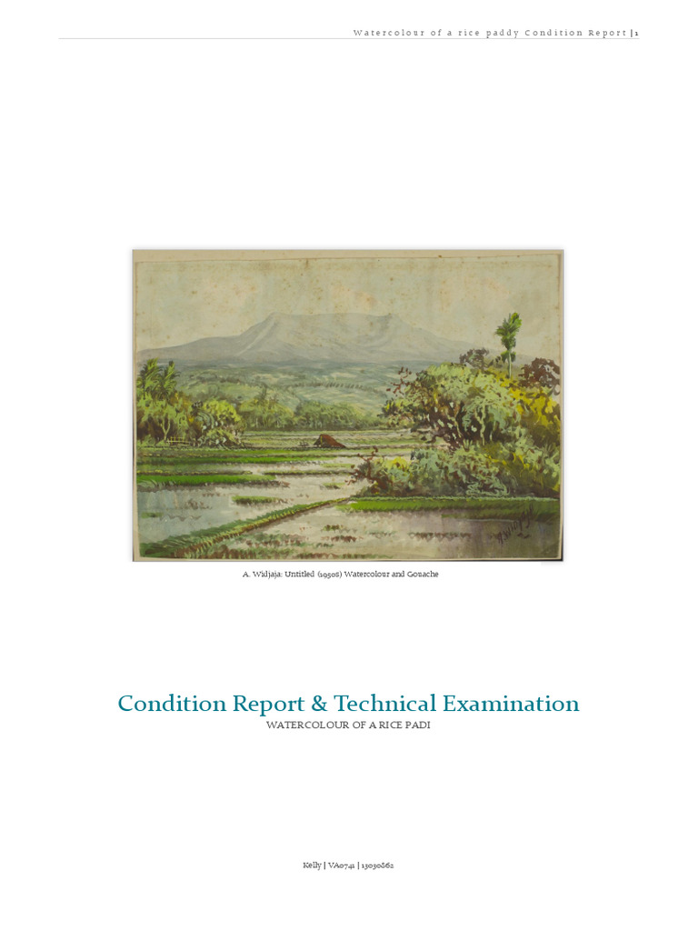 Watercolour Condition-Report | PDF | Infrared | Ultraviolet