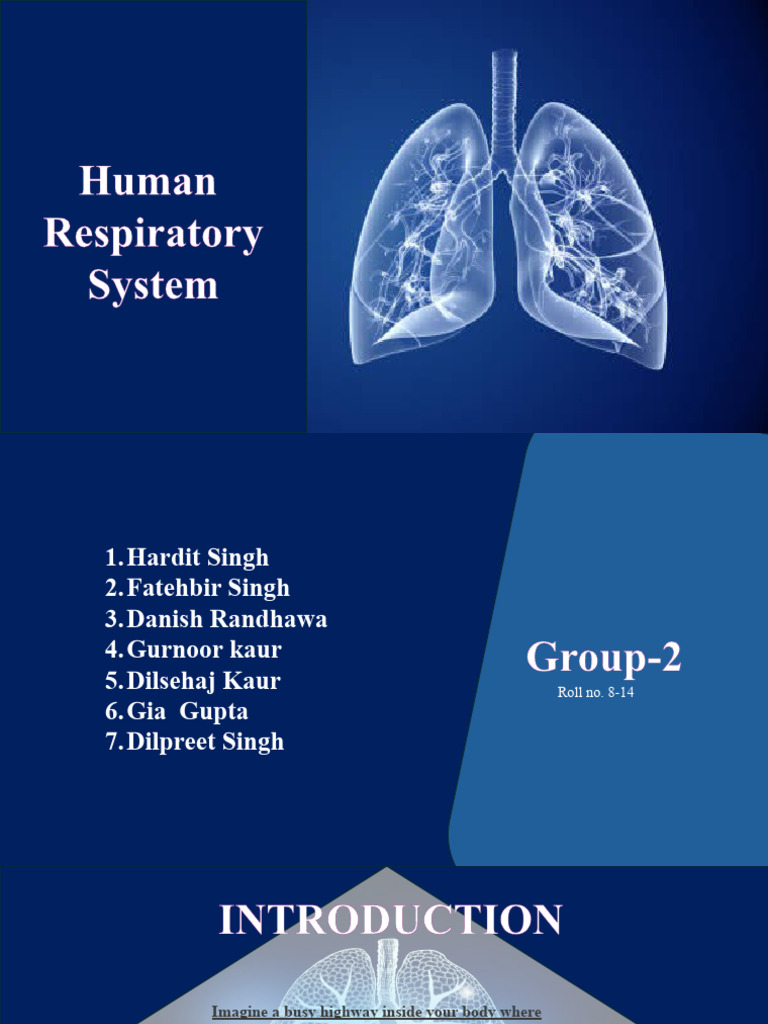 Human Respiratory System | PDF | Cellular Respiration | Fermentation