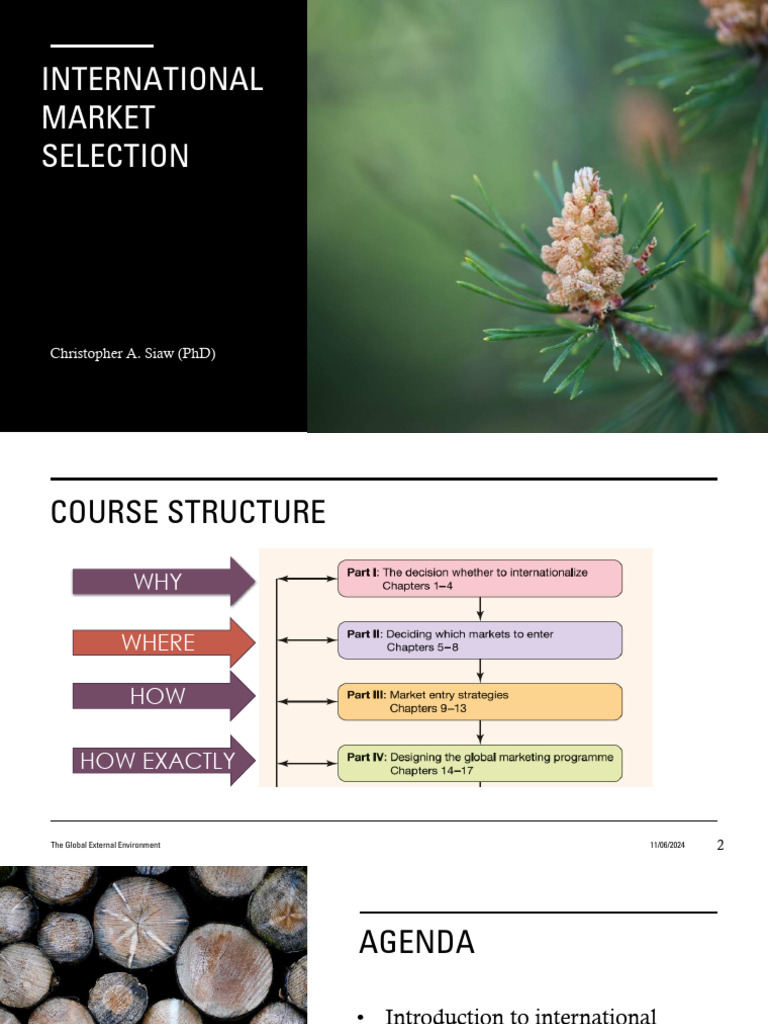 International Market Selection Strategies | PDF | Market Segmentation ...