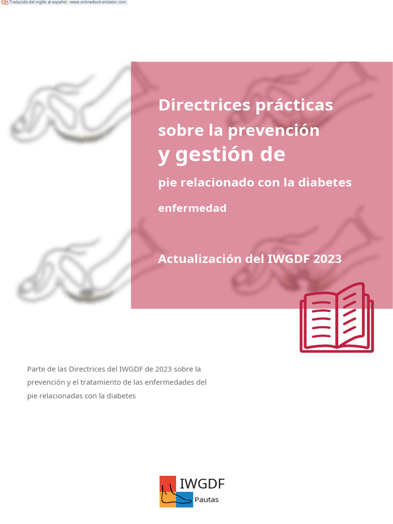 IWGDF 2023 01 Practical Guidelines - En.es | PDF | Diabetes | Pie
