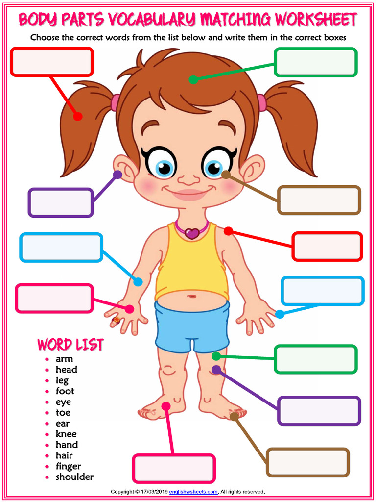 Body Parts - Matching Worksheet | PDF