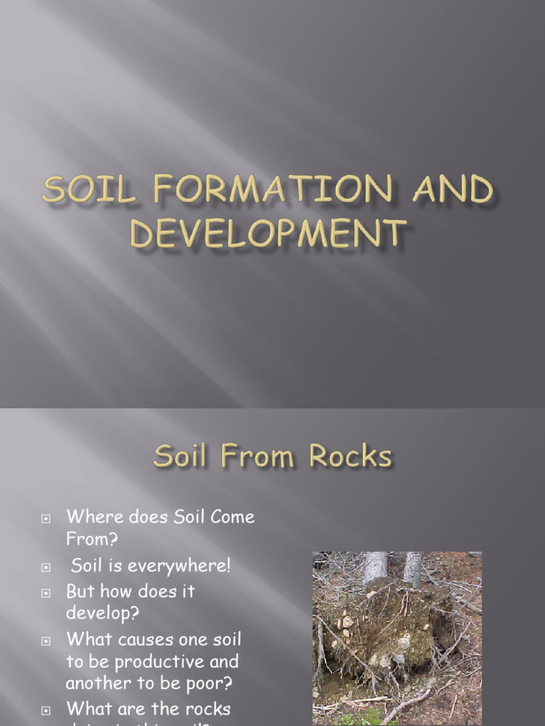 Understanding Soil Formation and Types | PDF | Rock (Geology) | Igneous ...