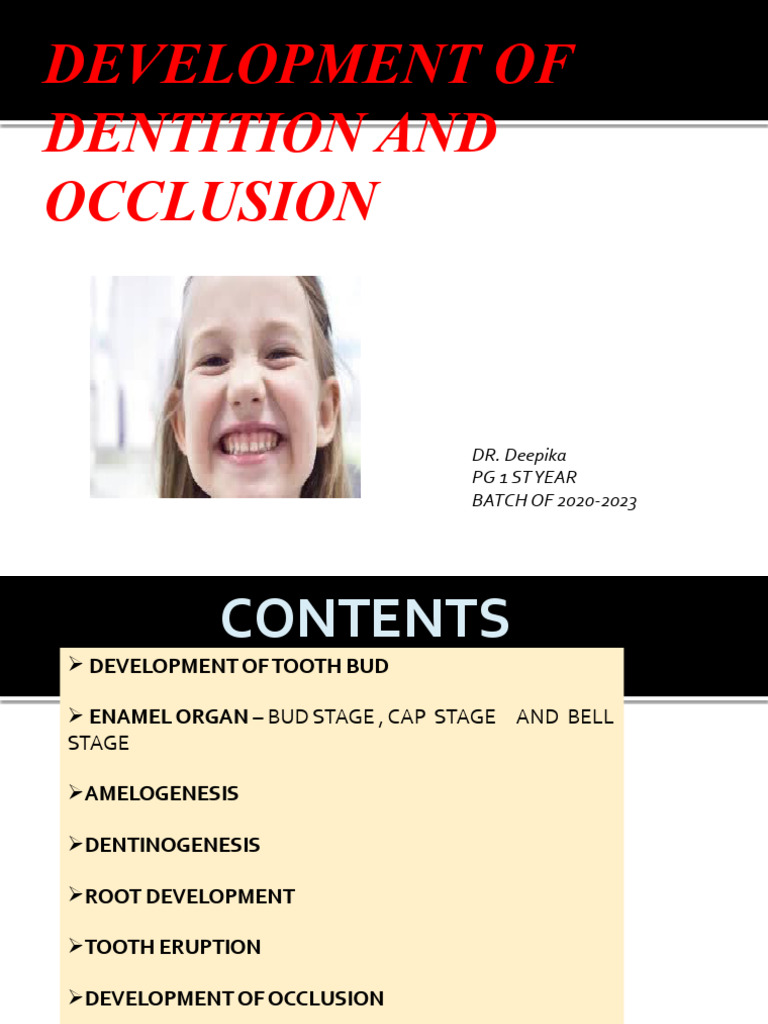 Tooth Development and Occlusion Stages | PDF | Dental Anatomy | Human Tooth